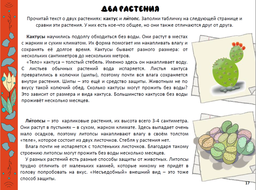 Начальная школа (литературное чтение) - Магазин РосинкаТокио